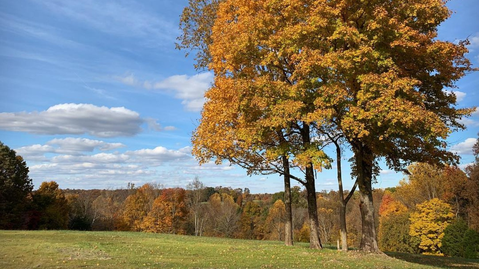 This Underrated Kentucky City Is An Escape Brimming With Nature ...