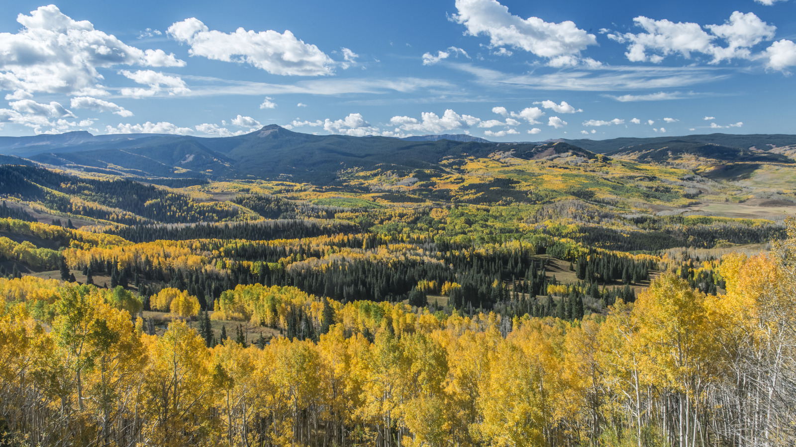 This Wildly Underrated Colorado Scenic Byway Passes Wildflower Fields ...