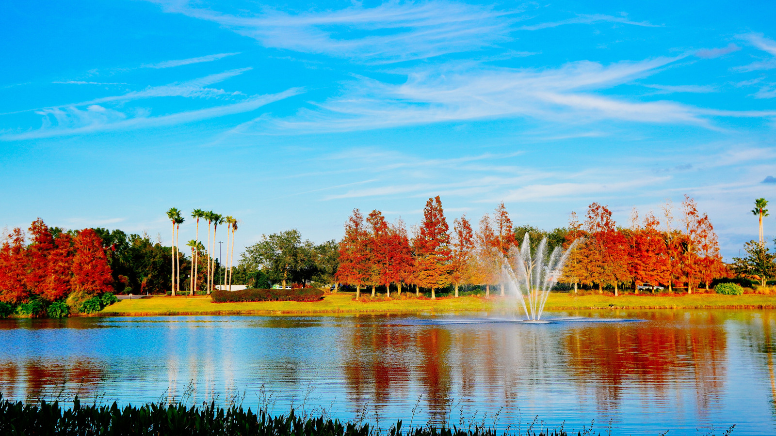 Tucked Between Tampa And Orlando Is One Of Florida's Fastest Growing ...