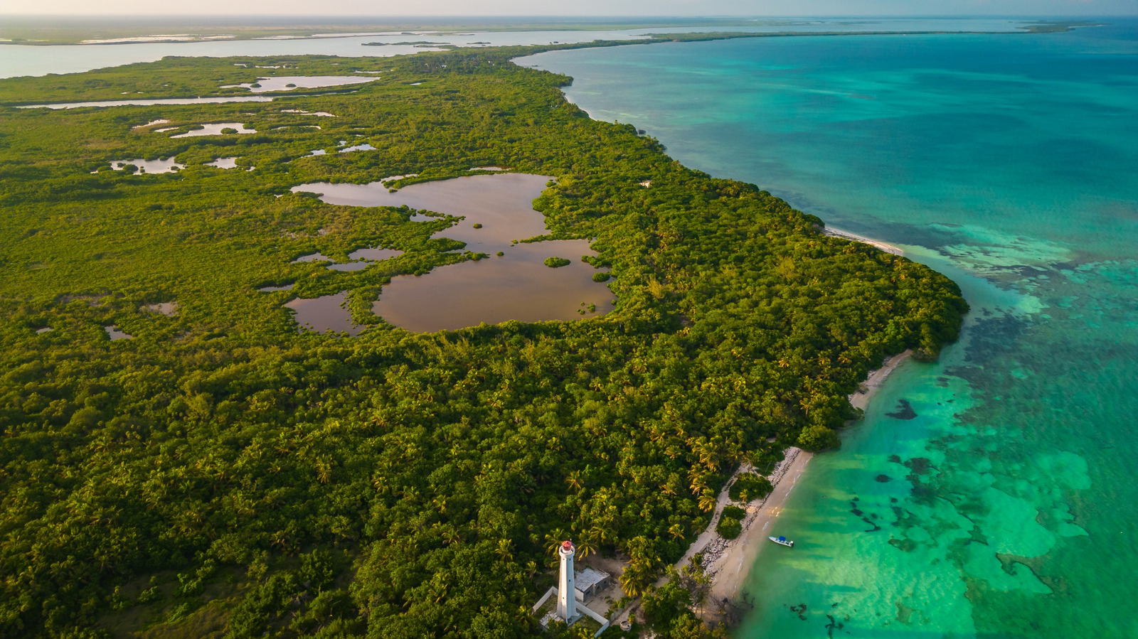 Tulum's Unsung Wildlife Reserve Offers Clear Green Lagoons To Snorkel ...