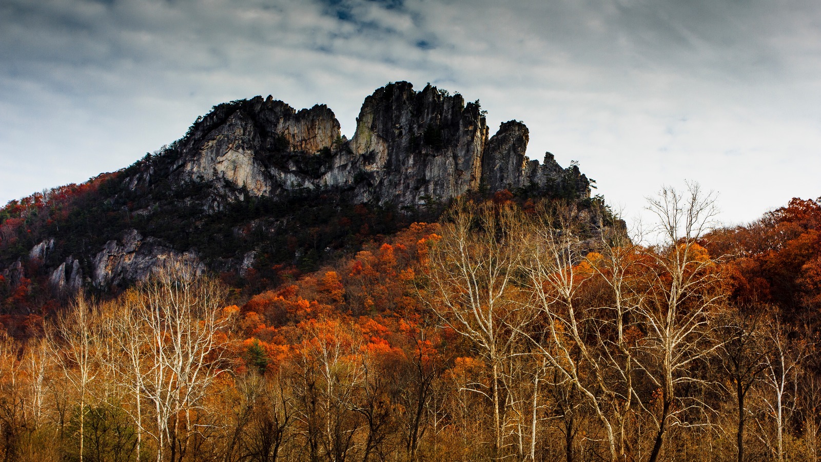 Unbeatable Fall Views And Wildlife Await At An Iconic West Virginia ...