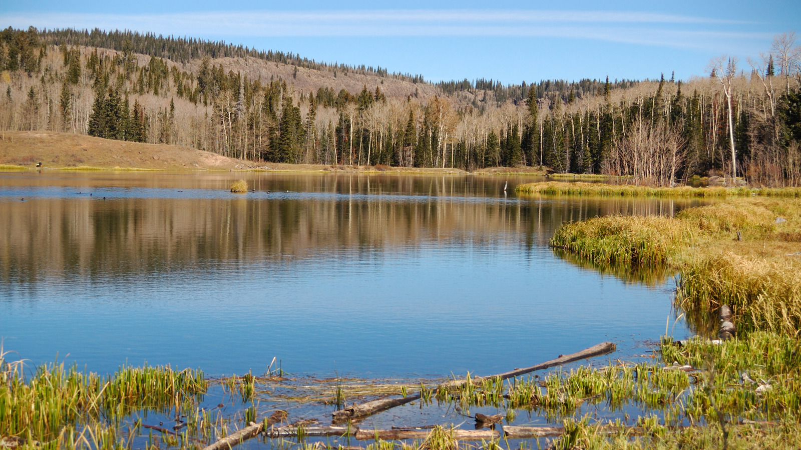 Utah's Hidden Lake Tucked In The Dixie National Forest Is A Quiet ...