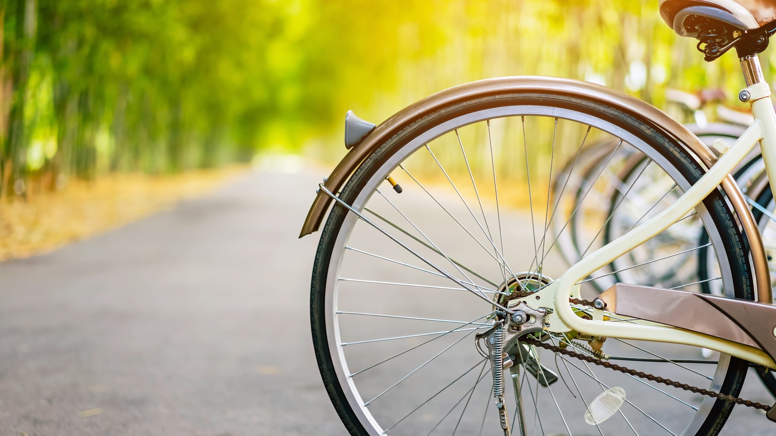 Vermont's New Rail Trail Is New England's Longest, Spanning 93 Scenic ...