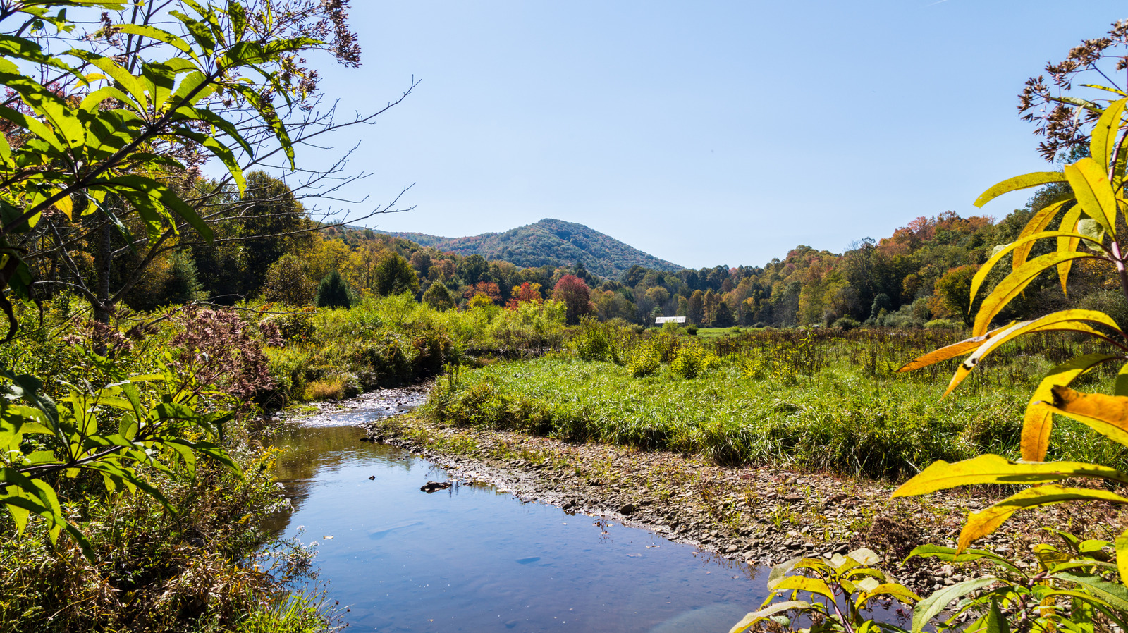 Abingdon Is A Virginia Mountain Town With An Award Winning Food Scene