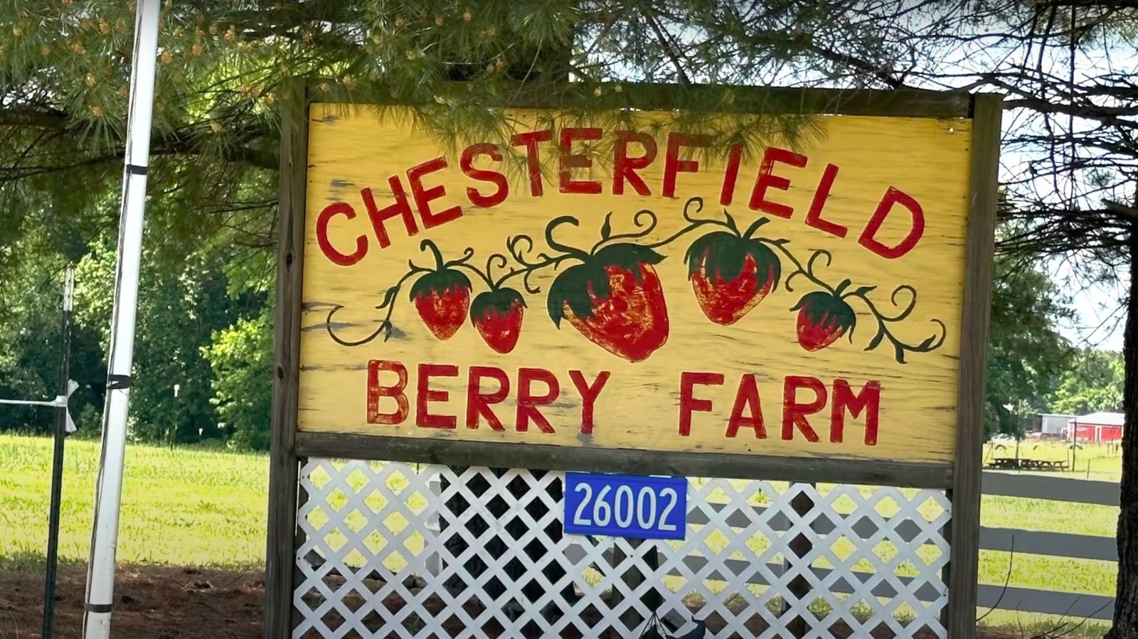 Virginia's Charming Family-Owned Berry Farm Near Richmond Promises ...