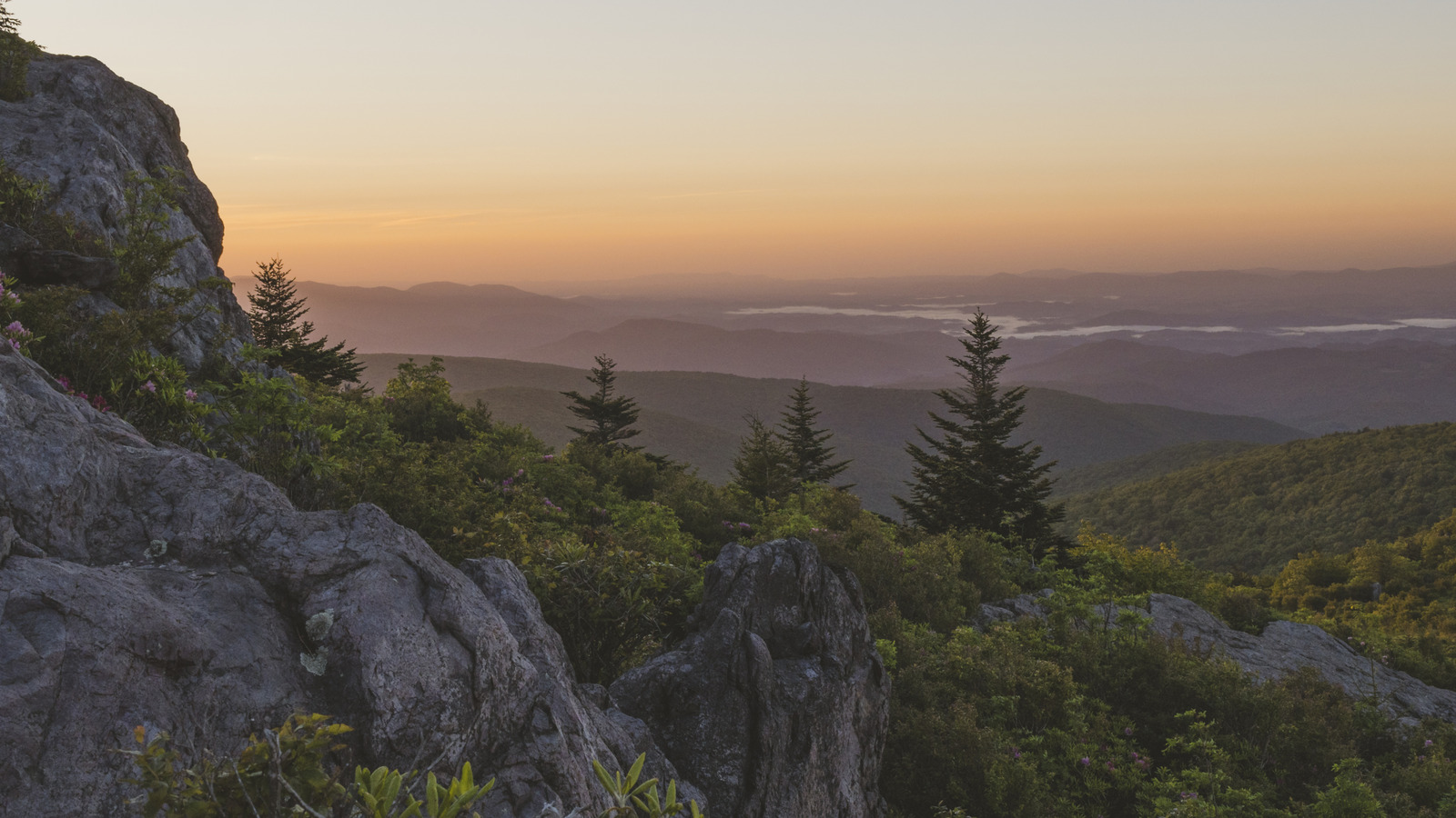 Virginia's Highest Point Offers Scenic Trails, Wild Ponies, And ...