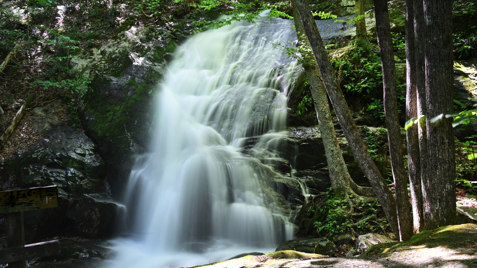 Virginia's Highest Waterfall Is A Beloved, Imposing Natural Beauty ...
