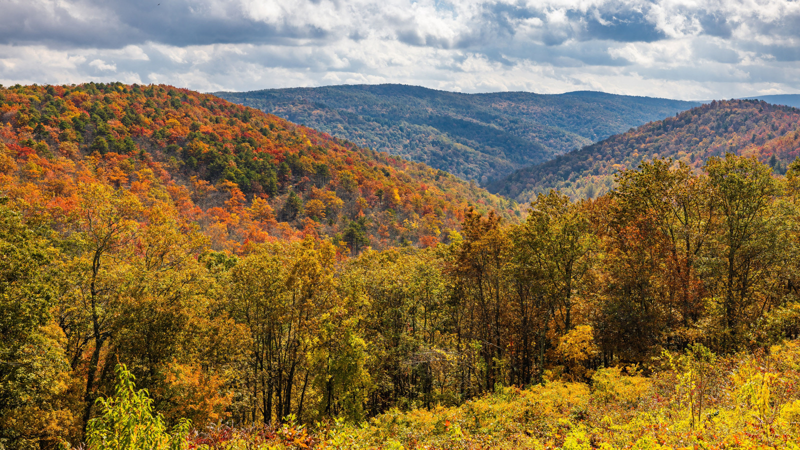 Virginia's Most Renowned Fall Views Are On A 4-Hour Train Trip Open For ...