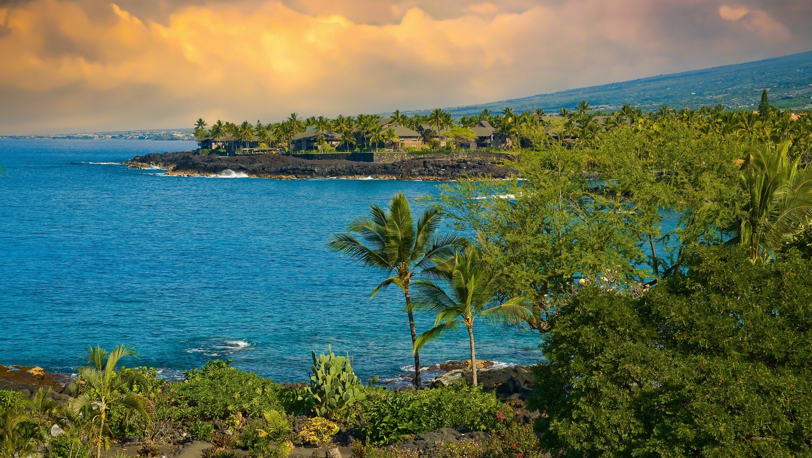 Visit This Lesser-Known Town For Hawaii's Best Coffee And Art Scene