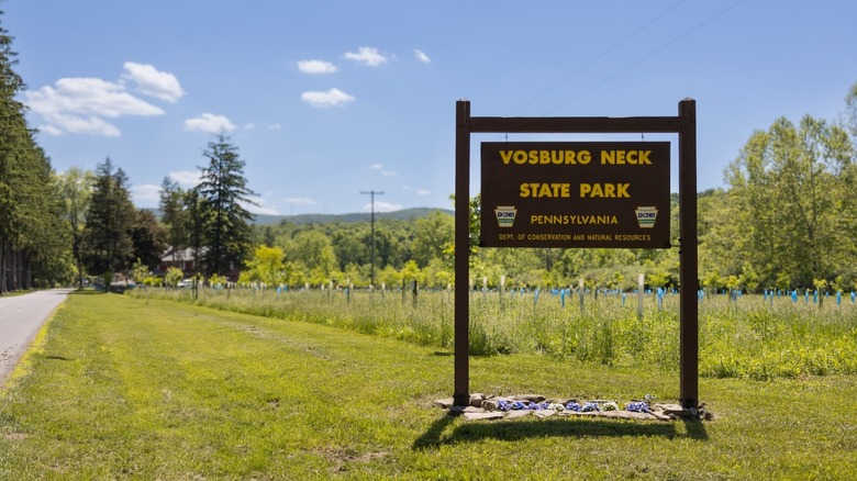Pennsylvania's Wildlife-Packed State Park Has Peaceful Paddling And ...