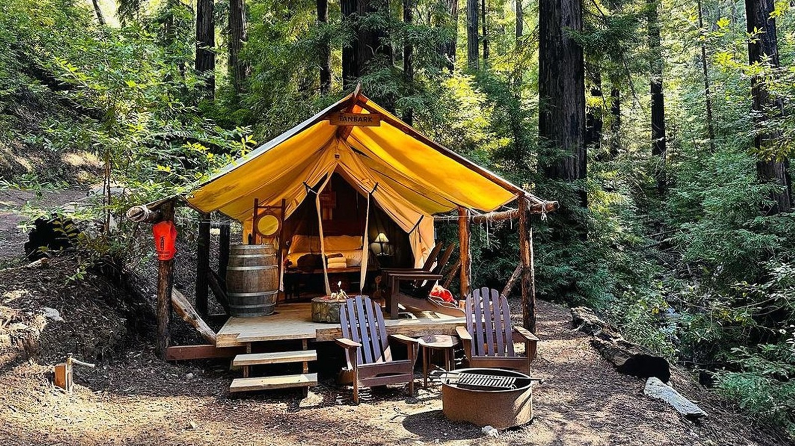 Wake Up Among California Redwoods At This Luxurious Glamping Spot