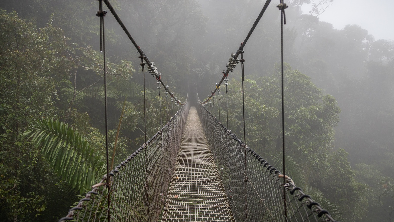 Walk On World-Famous Hanging Bridges Hidden In A Breathtaking Jungle At This Costa Rican Park