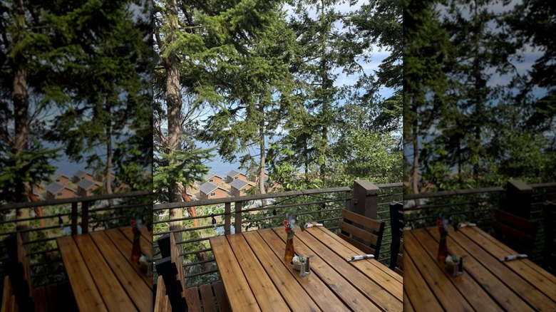 Washington's Scenic Beach Right Next To Camano Island State Park Has ...