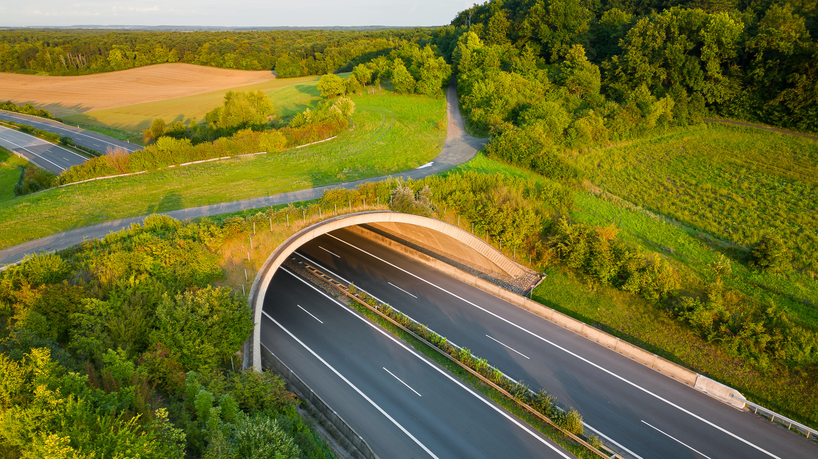 What It Means When You See An Unusual Overpass In Colorado That Looks ...