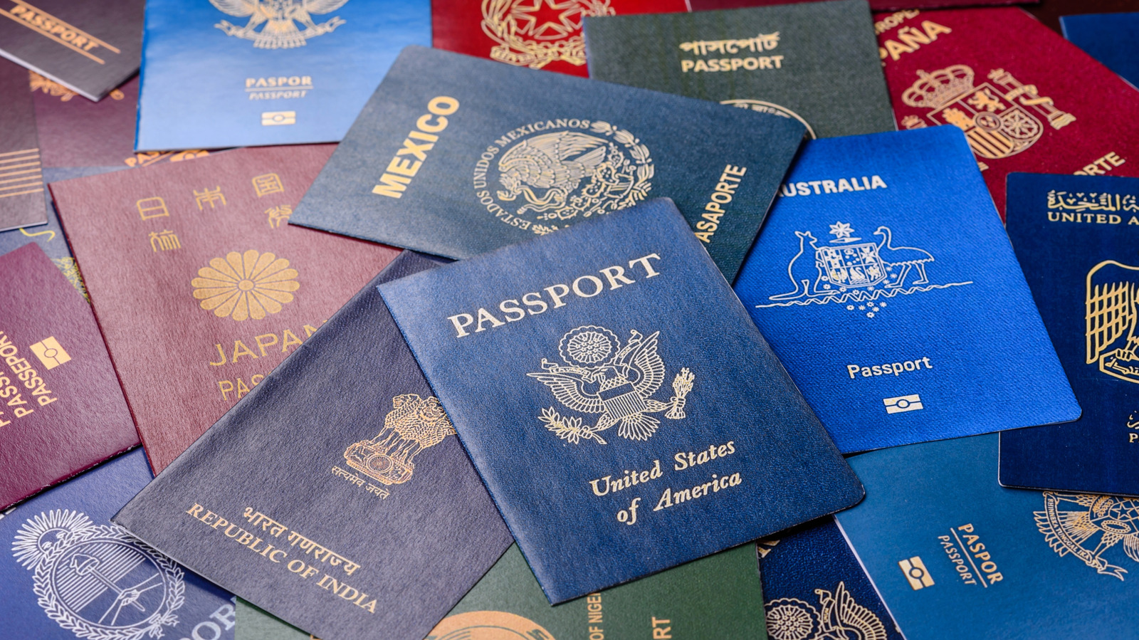 What Should You Do If Your Passport Gets Damaged?