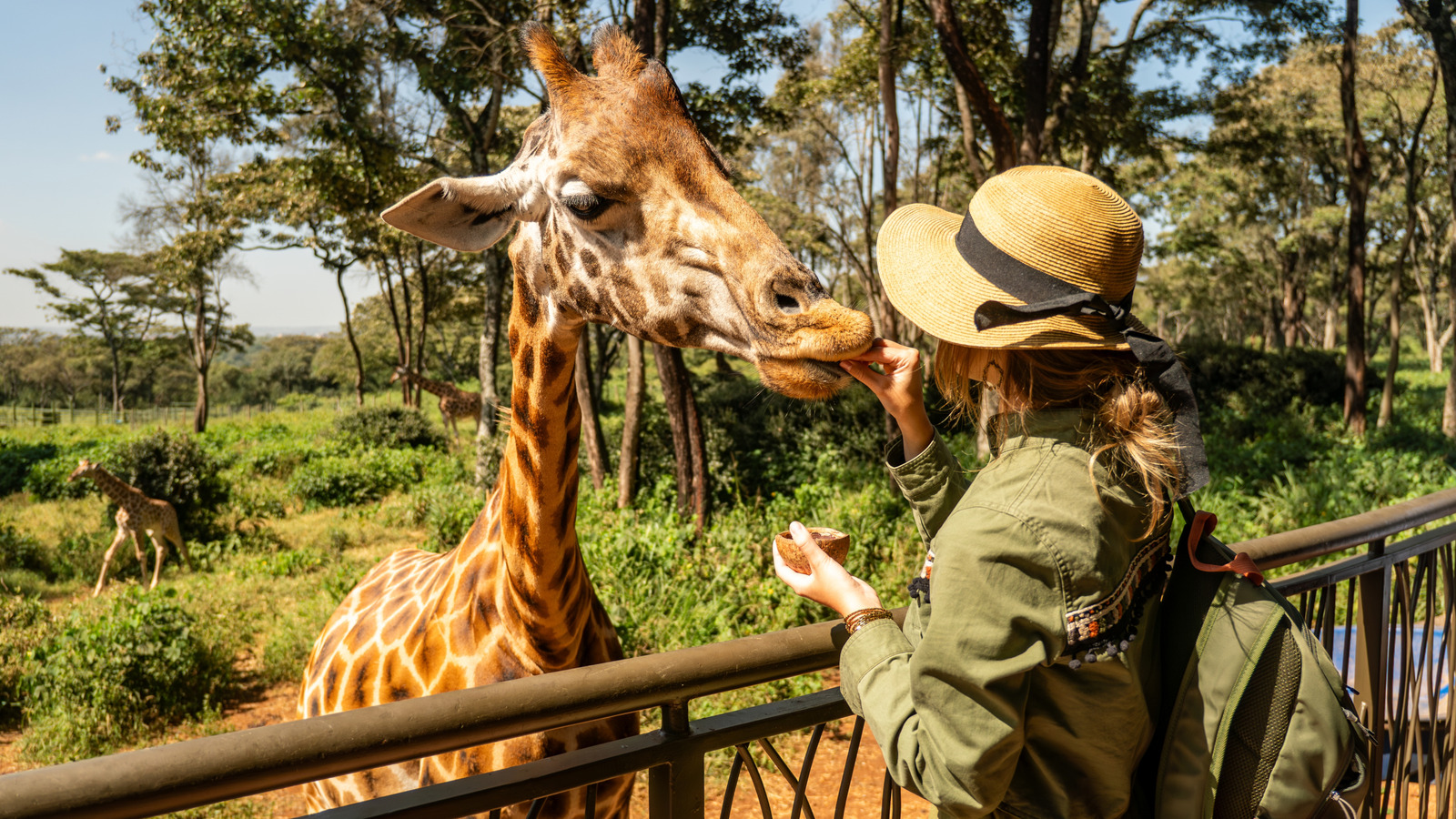 What To Look For (And Avoid) To Have An Ethical Wildlife Tourism Experience