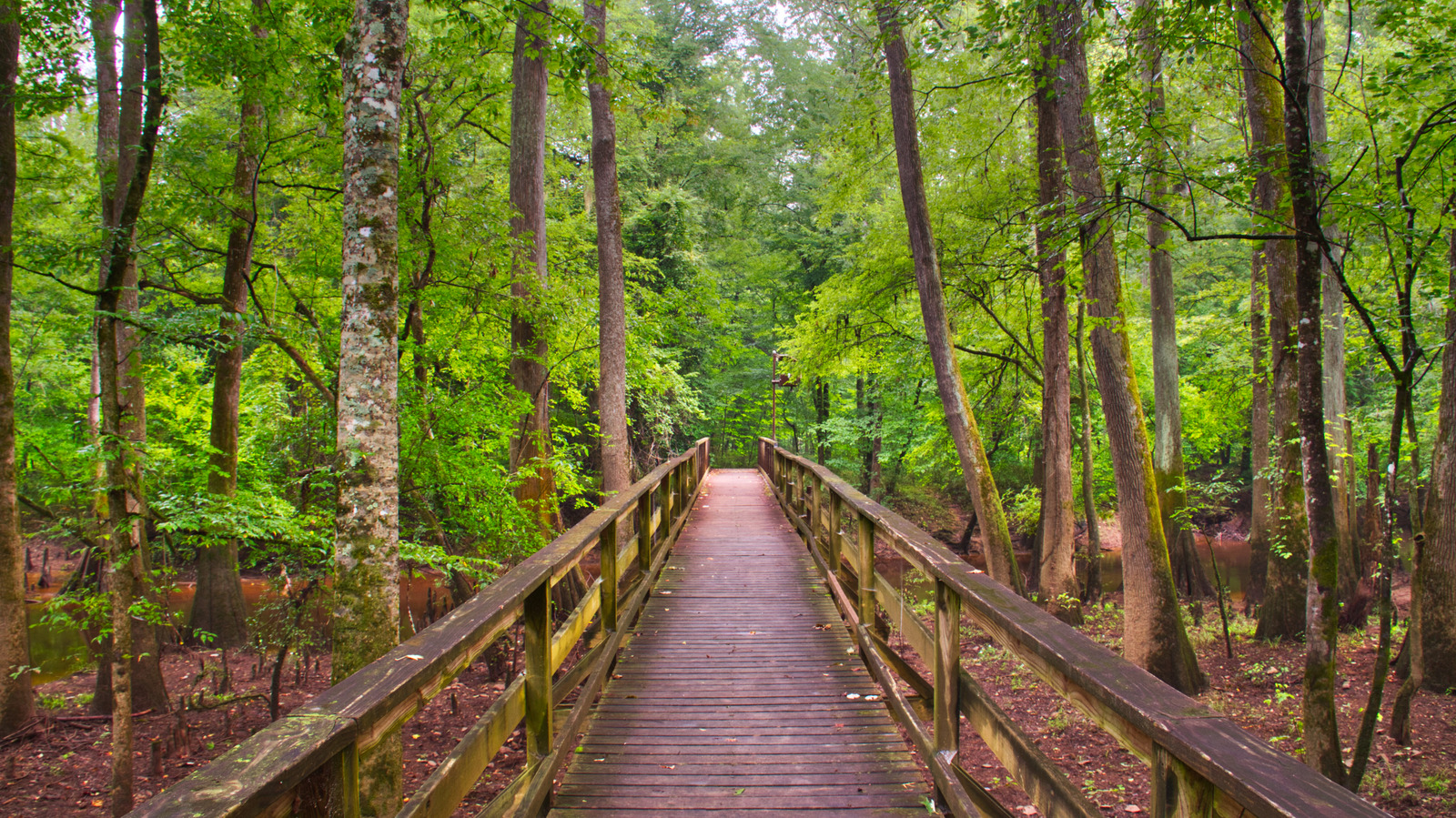 Why Travelers Call This The Worst National Park In America (But It's ...
