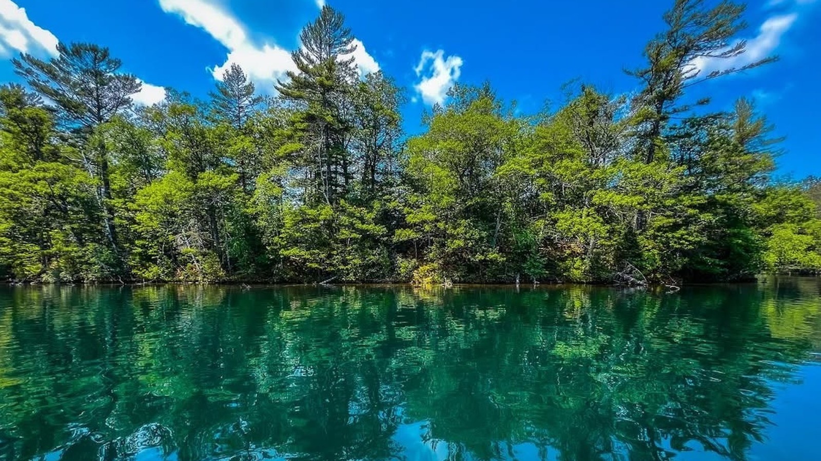'Wisconsin's Healthiest Lake' Is A Crystal-Clear, Underrated Gem ...