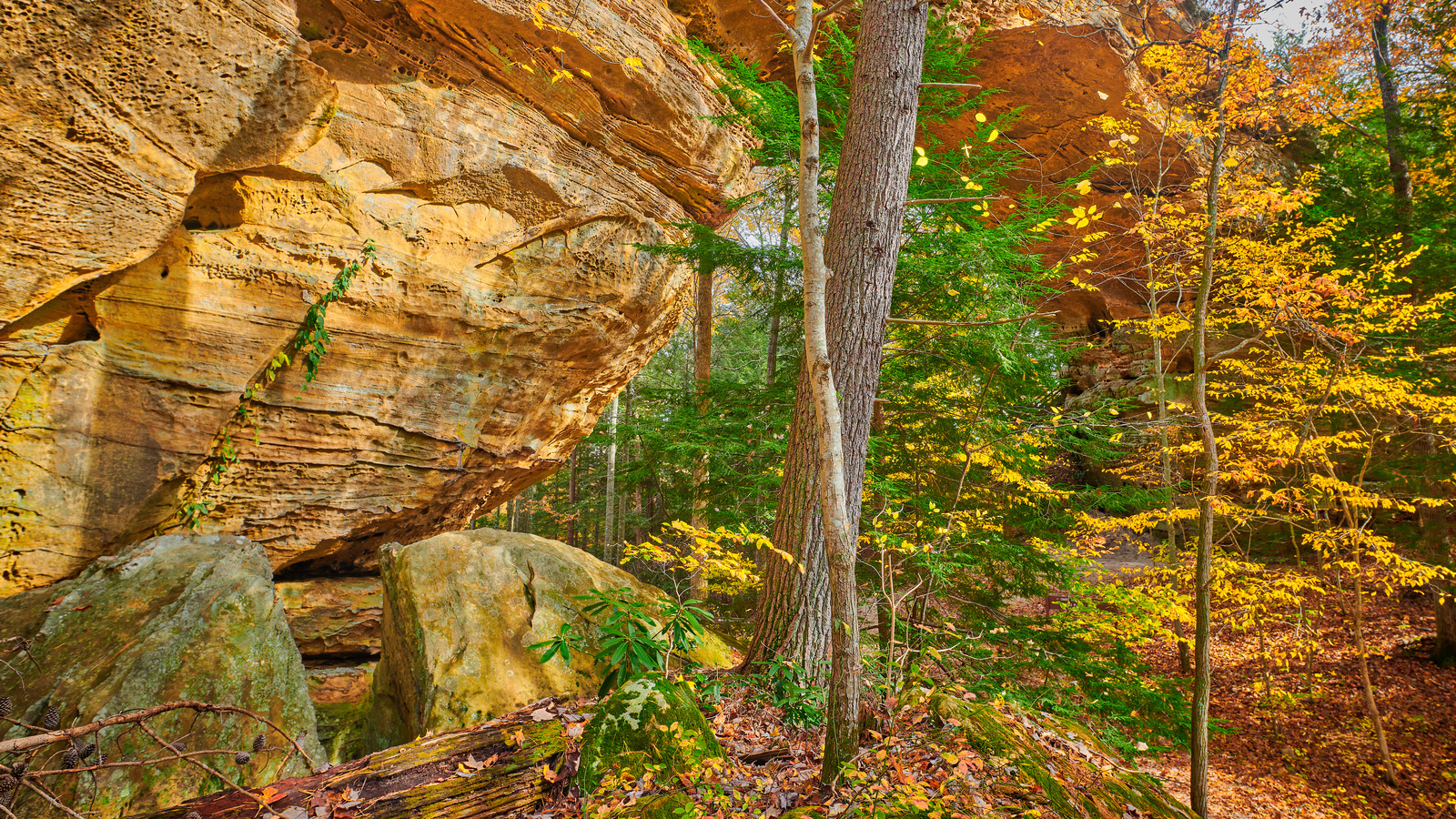 Discover The Magic Of Fall While Hiking This Tennessee National Forest