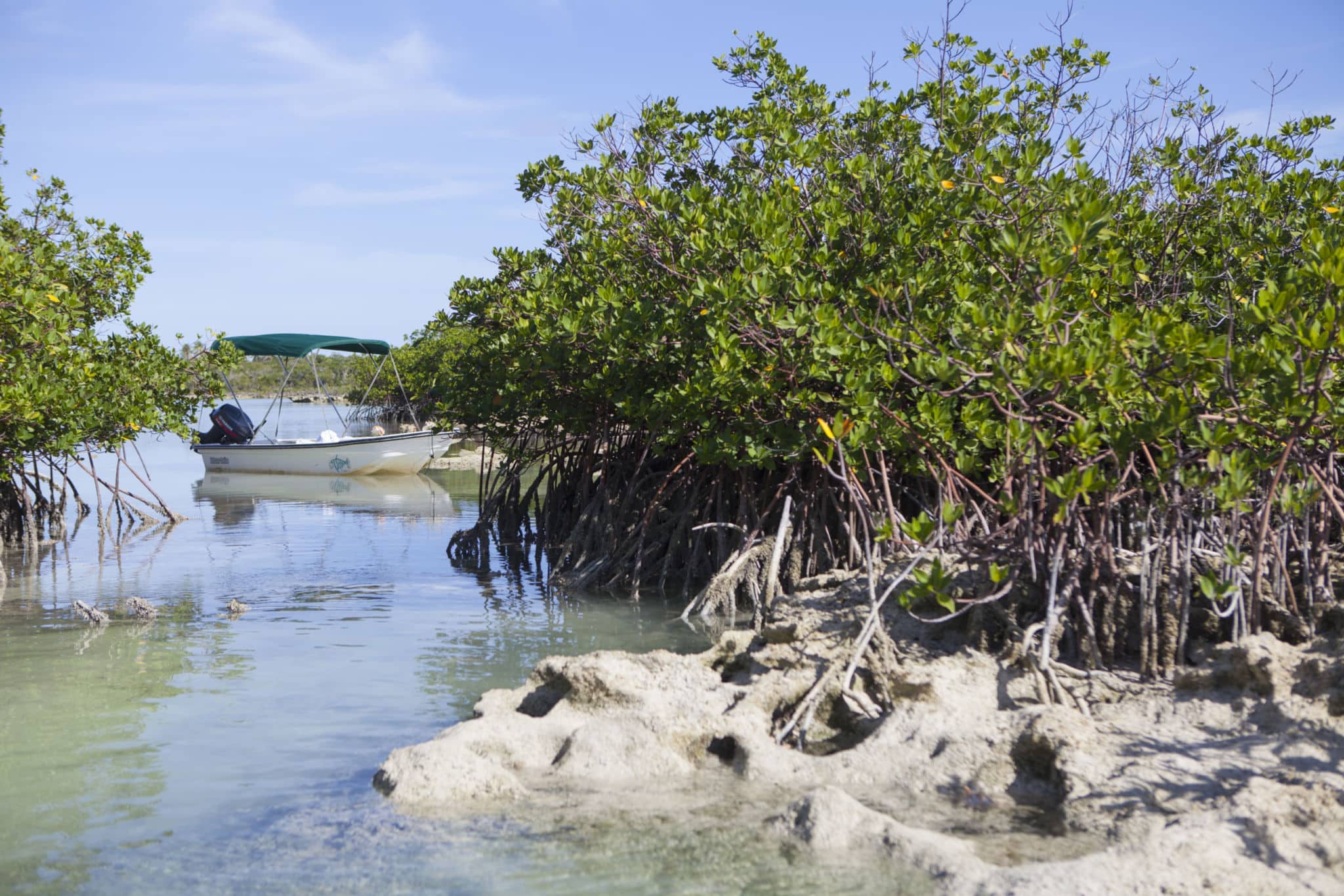 Why The Out Island of Eleuthera is the Best Bahamas Vacation You've ...