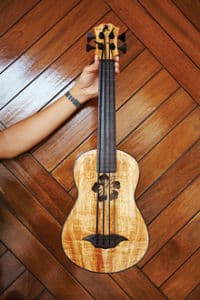 Ukulele: The Renaissance | Islands
