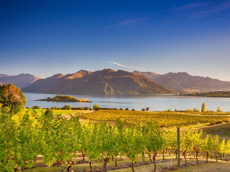 10 Best Islands for Wine Tasting | Islands