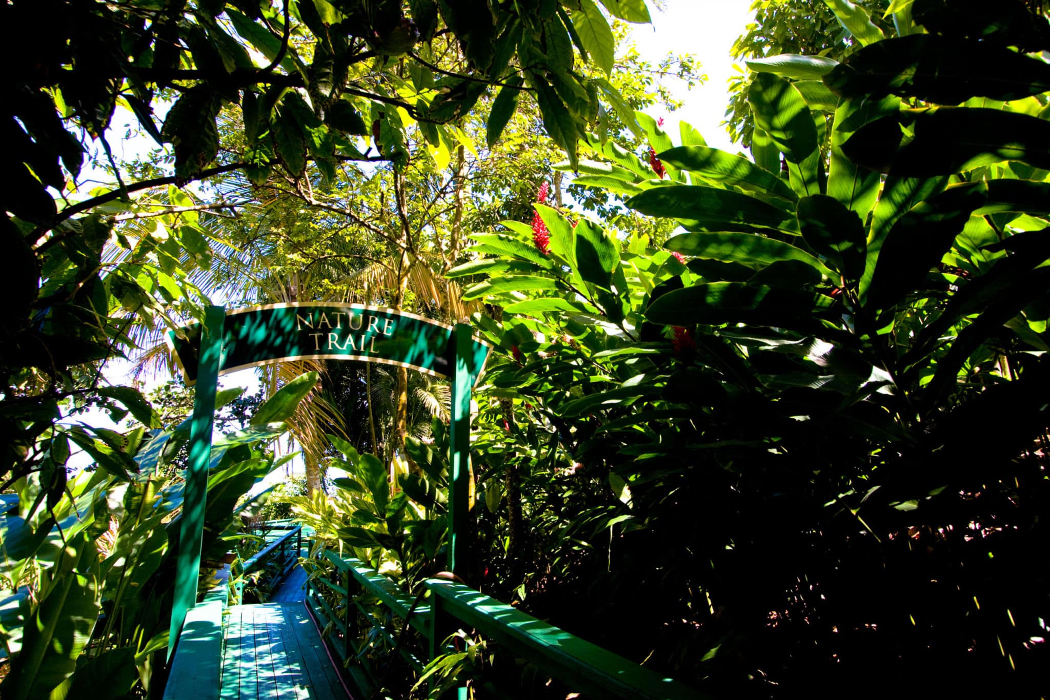 Best Things to Do in St. Thomas | Islands
