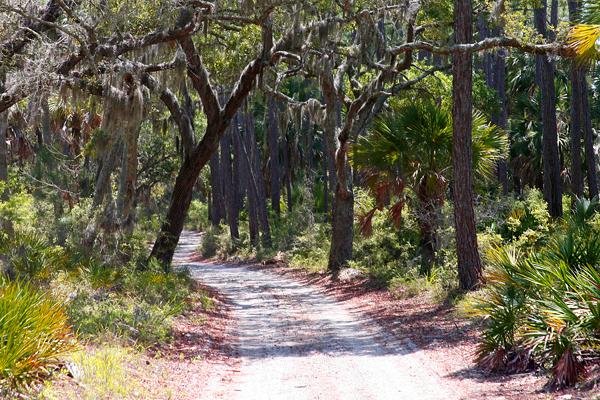 15 Best Secret Islands in Florida | Islands