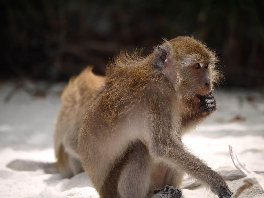 Exploring Thailand's Remote Islands by Tall Ship | Islands