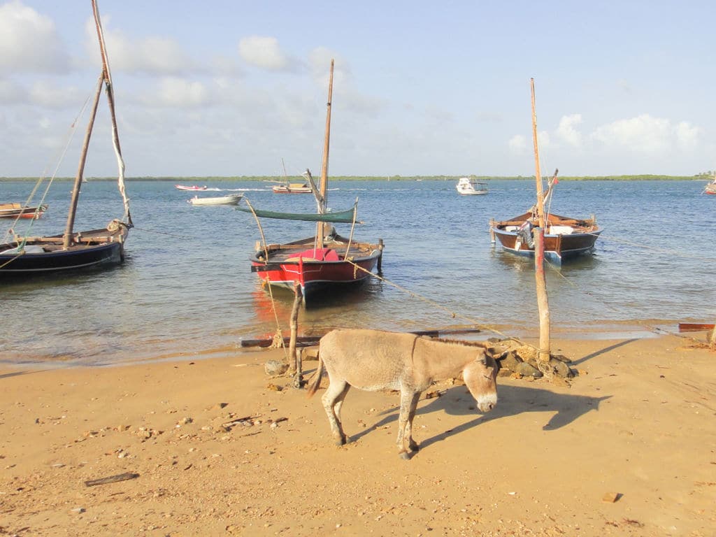 The Quiet, Alluring Charm of Kenya’s Lamu Island | Islands