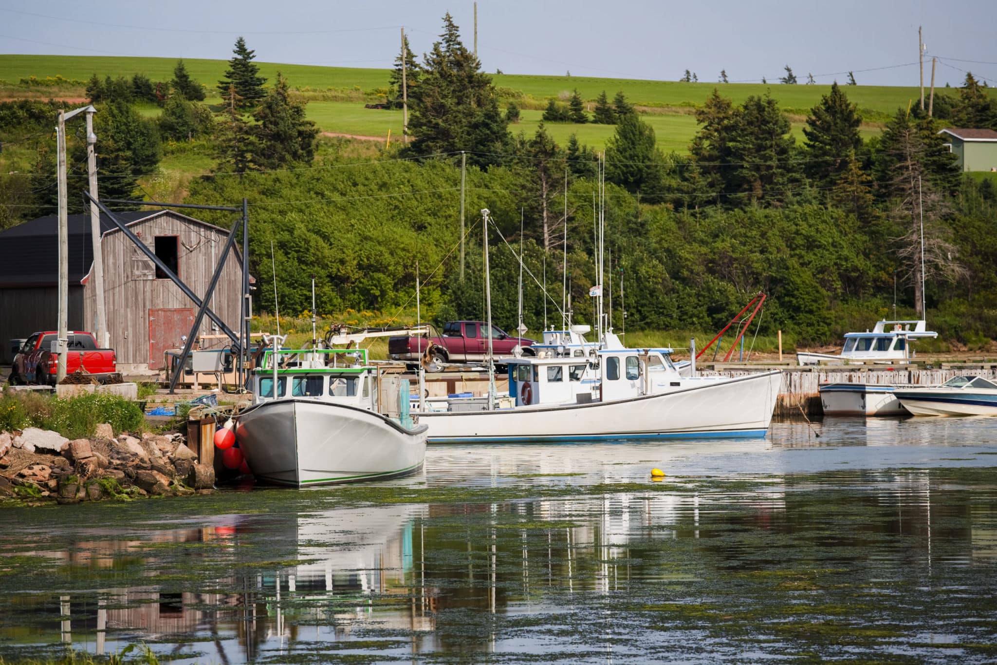 Best Islands Close to Home: American Islands | Islands