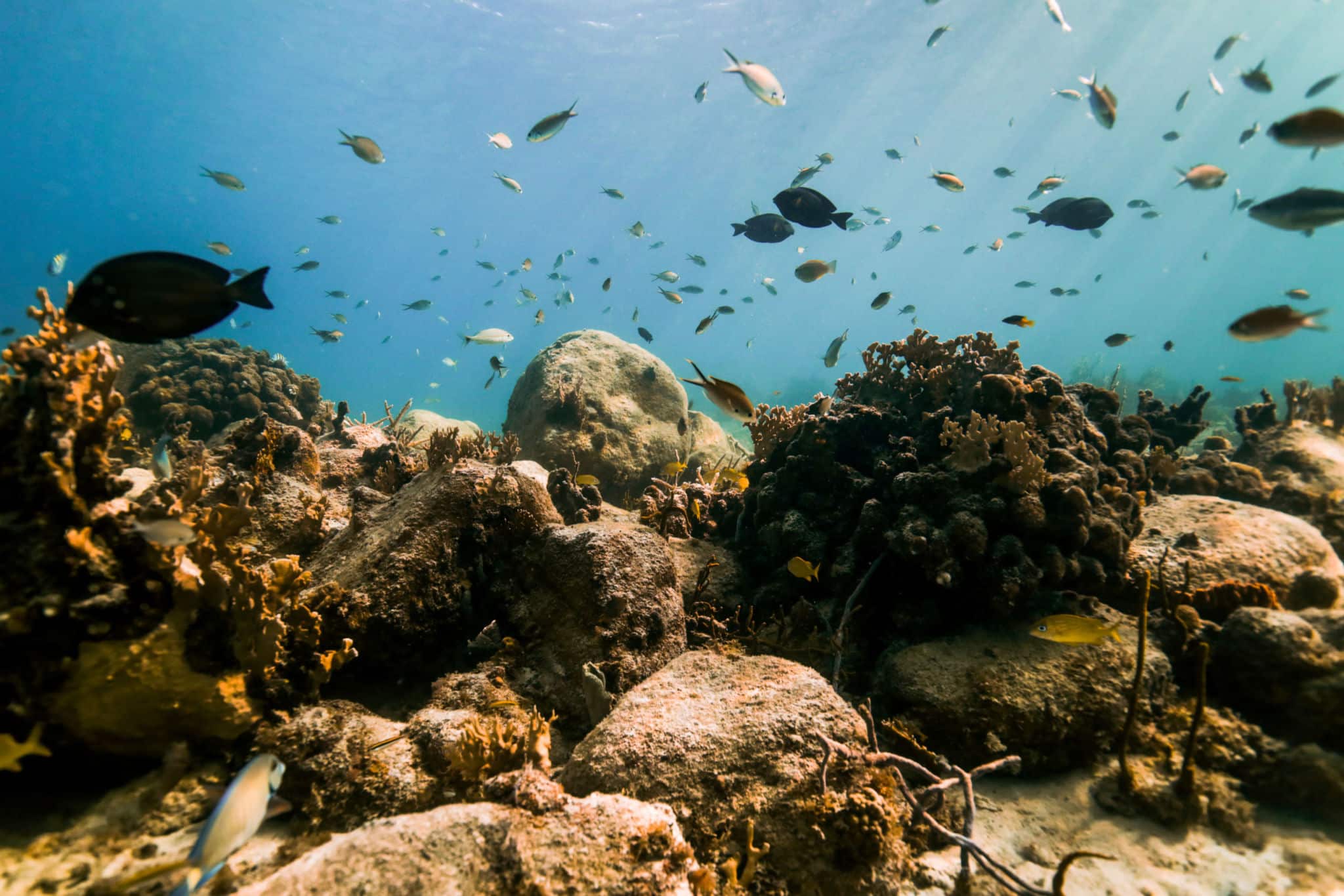 Best Things to Do in St. Thomas | Islands