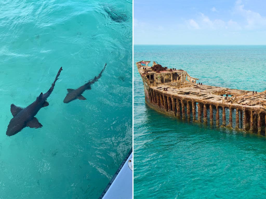 How to Spend Three Days in Bimini | Islands