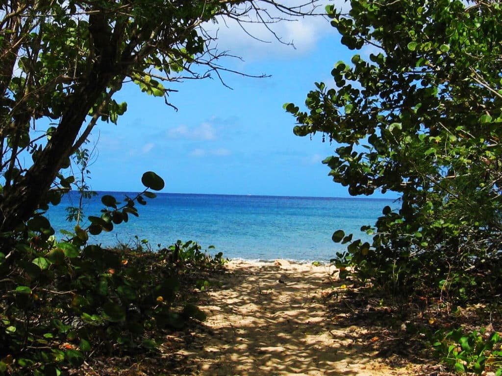 7 Scenic, Low-Key Caribbean Destinations for Avid Hikers | Islands