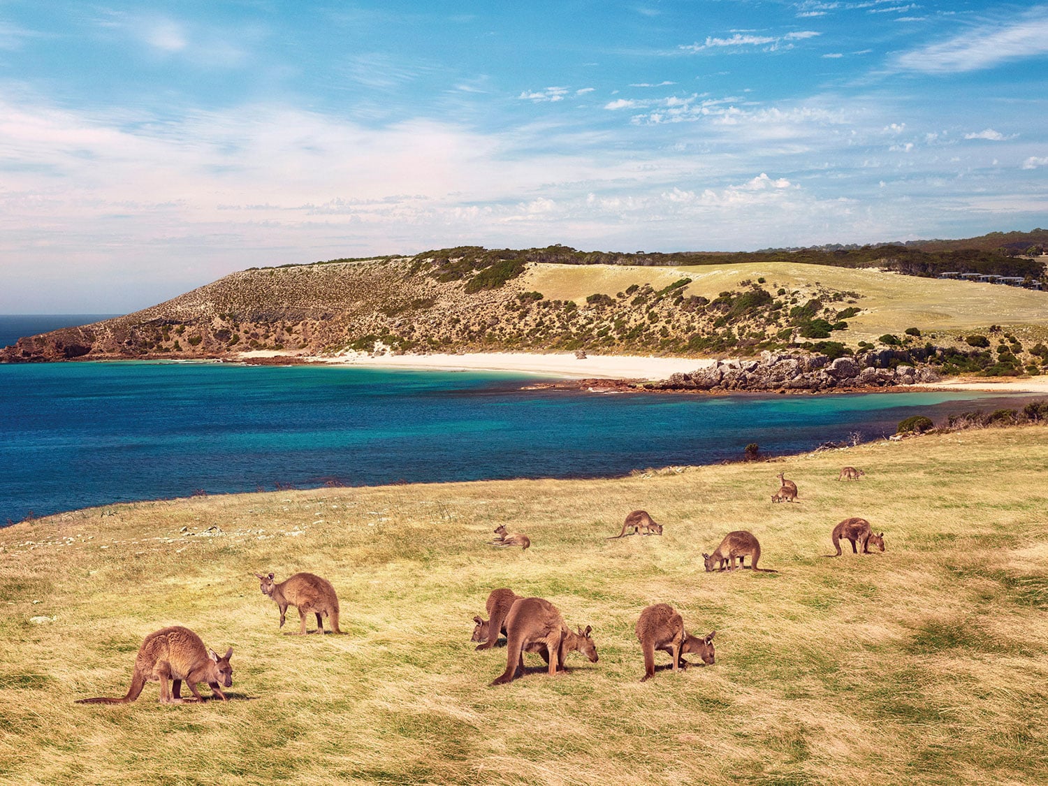Australia’s Top Island and Coastal Getaways—and How to Enjoy Them Now ...