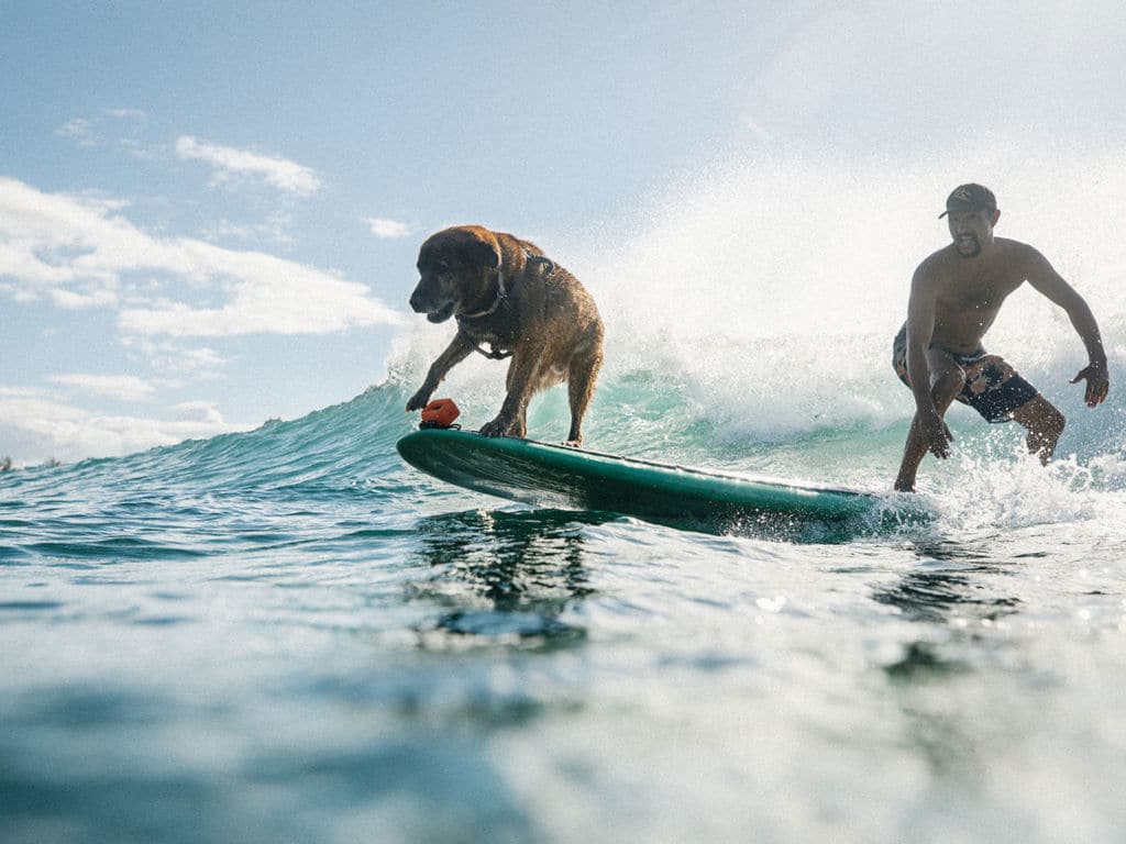 Three Reasons to Visit Oahu’s Turtle Bay Resort this Fall | Islands