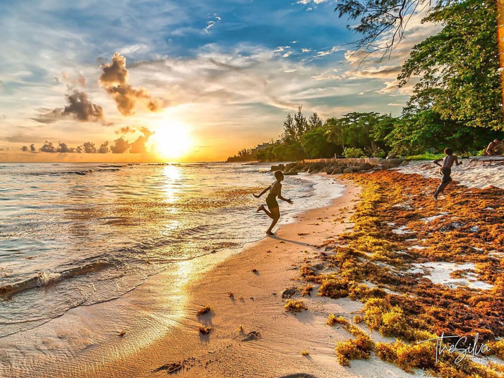 The Best and Most Authentic Ways to Experience Barbados | Islands